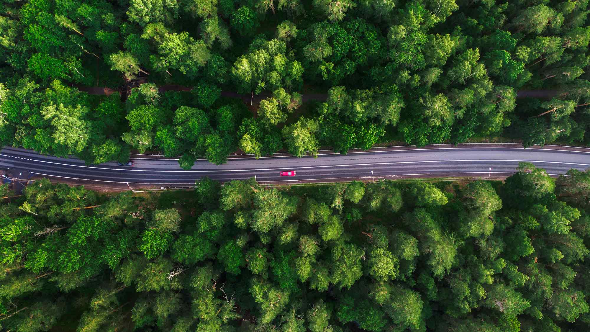 GAP Waivers vs. GAP Insurance: What You Need to Know - Caribou